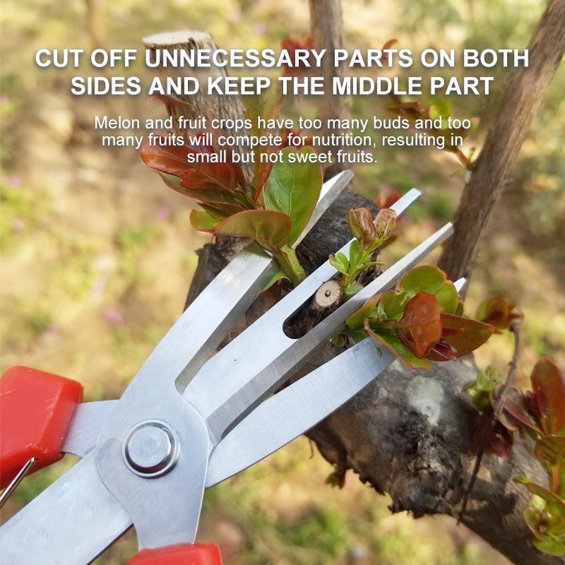Agriculture Thinning Scissors Double-port Fruit And Flower Thinning Sh ...