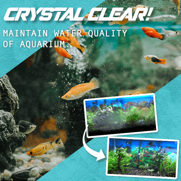 Algae Repellent Agent Fish Tank High Efficiency Water Purifying agent ...