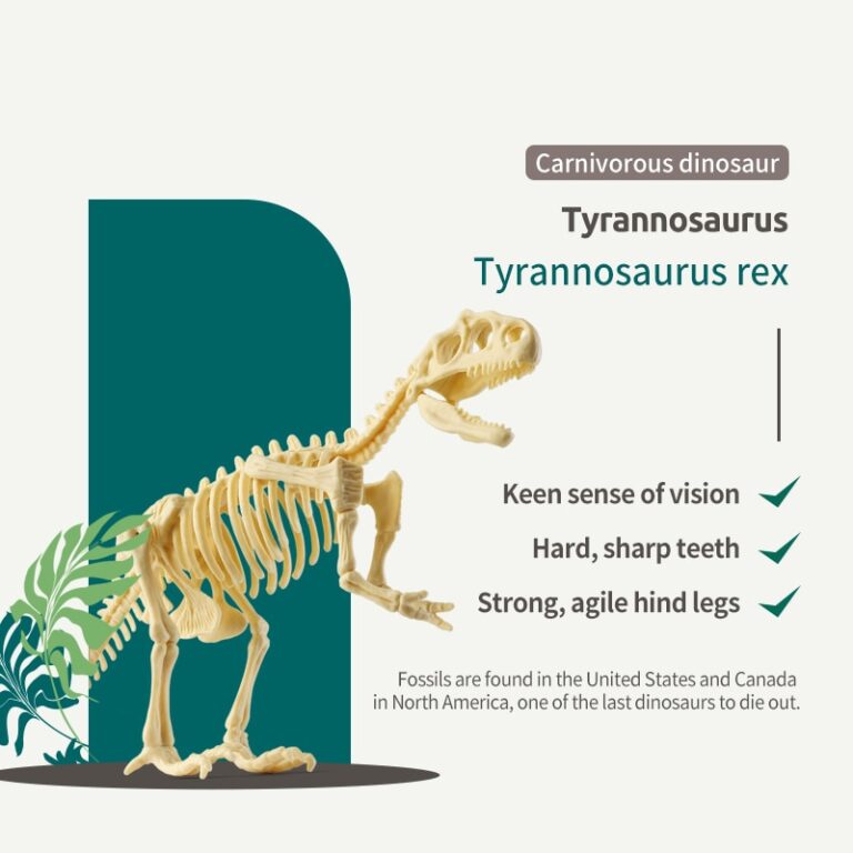 Arrival Dinosaur Fossil Digging Kit – dinoinbox