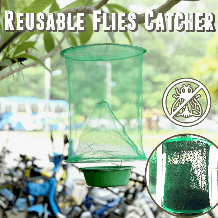 Reusable Flies Catcher – dinoinbox