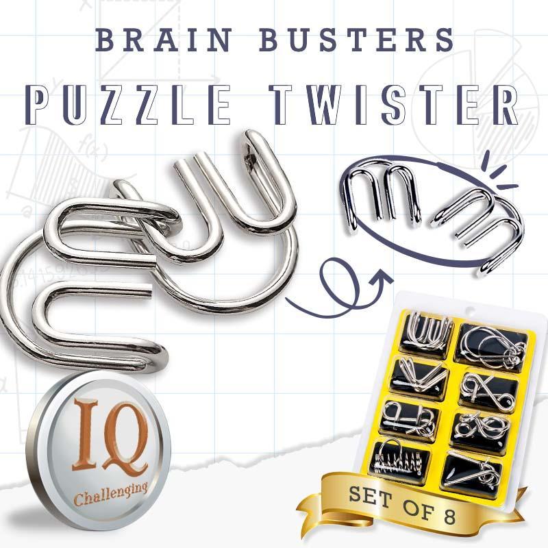 Brain Buster Puzzle Twister (SET OF 8) – dinoinbox
